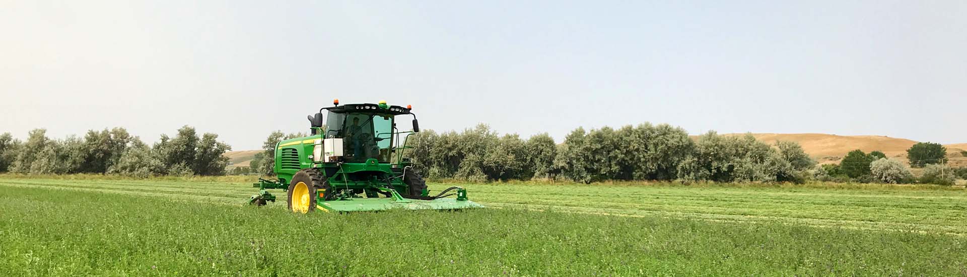 Hay - Stetson Ranches